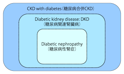 5．糖尿病合併高血圧のマネージメント | 糖尿病・内分泌プラクティスWeb