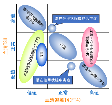 2．甲状腺機能検査を知る | 糖尿病・内分泌プラクティスWeb