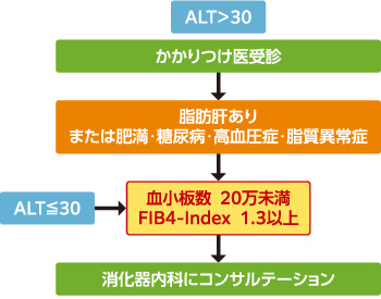 MASLD/MASH診療における肝線維化の意義とその評価法2024 | 糖尿病リソースガイド